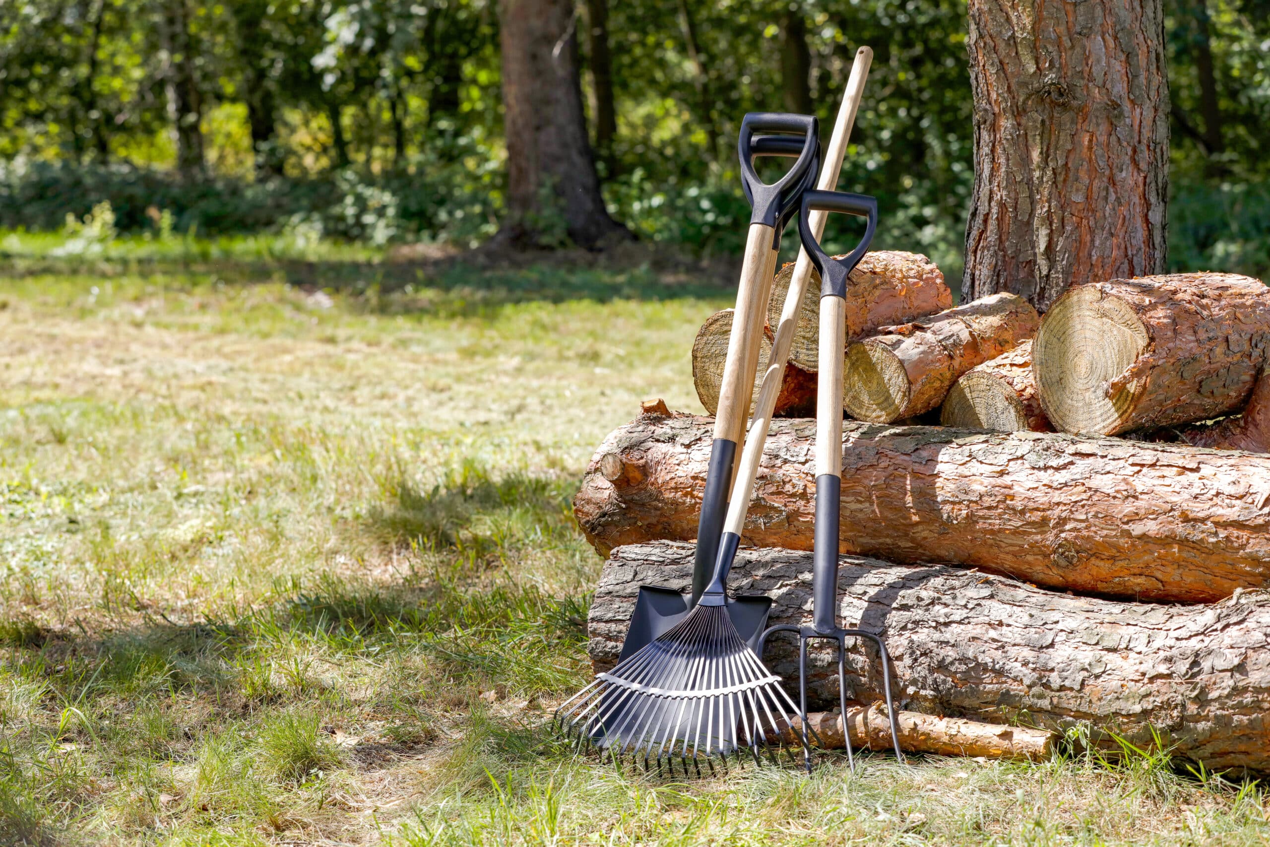 Get Ahead of the Chill: Fall Projects That Pay Off in Winter