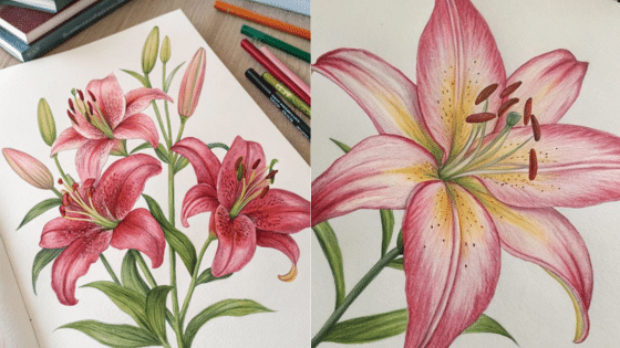 Step-by-Step Flower Drawing Guide for Beginners Made Easy