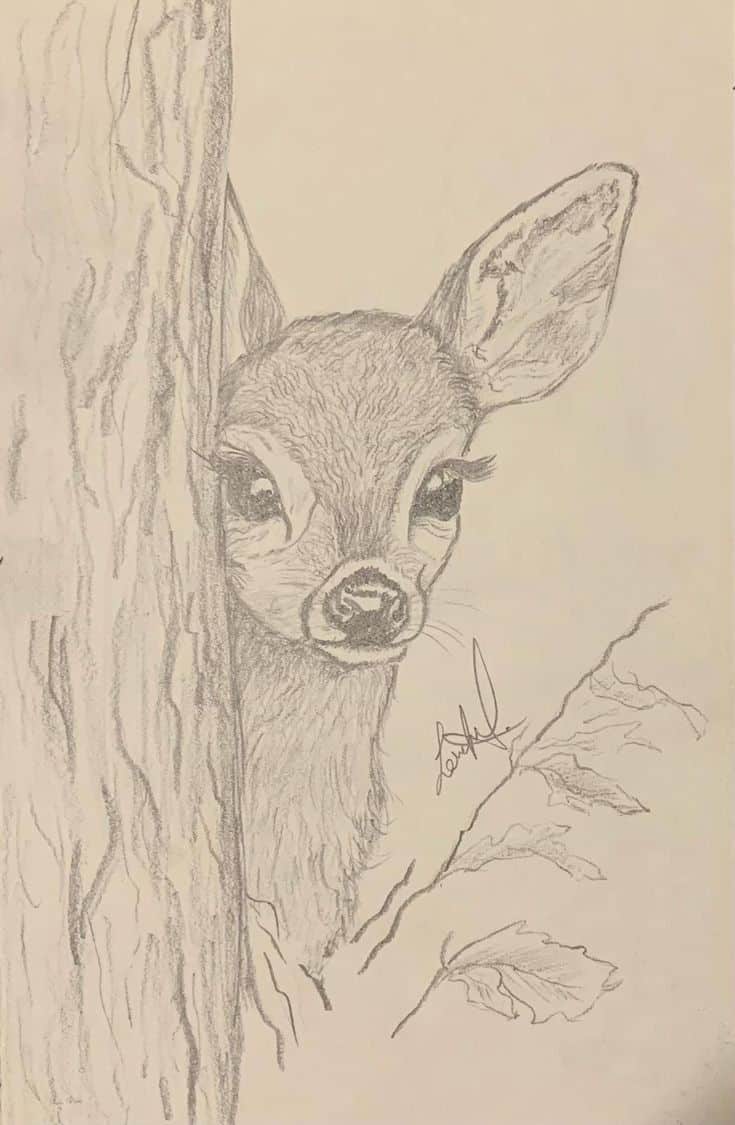 Fall Drawing Ideas: Creative Autumn Art Projects