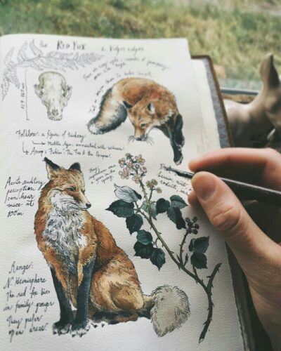 Fall Drawing Ideas: Creative Autumn Art Projects