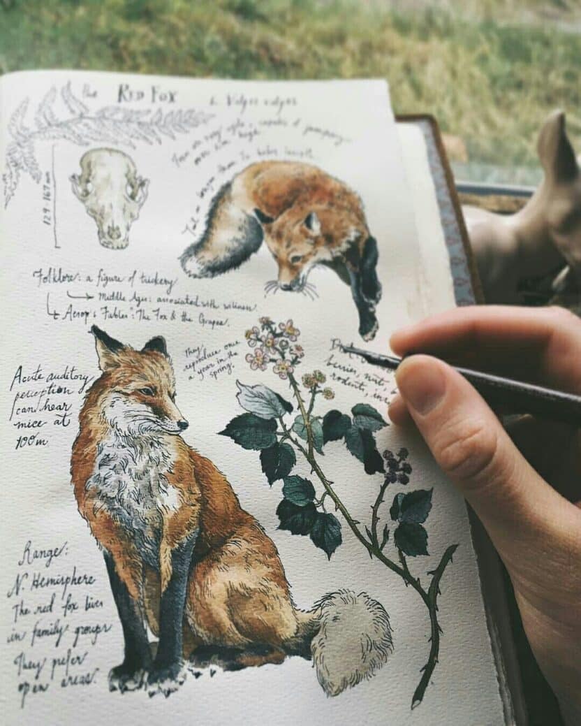 Fall Drawing Ideas: Creative Autumn Art Projects