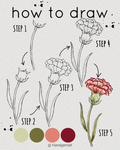 Pen and Ink Botanical Drawing Tips for Beginners Made Easy
