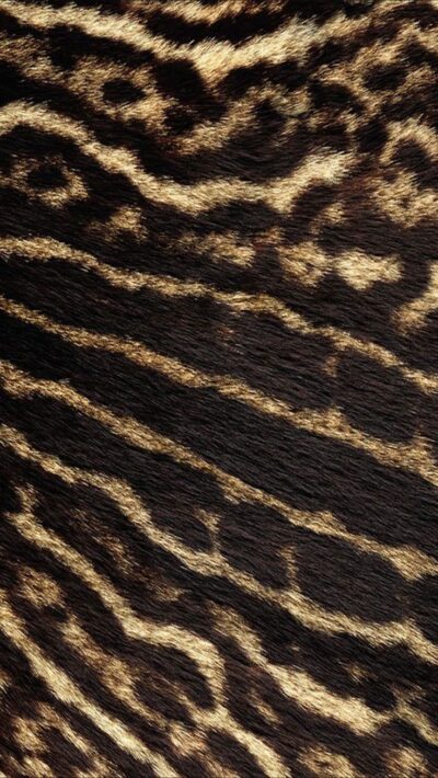 Nature-Inspired Patterns Transforming Modern Design Trends