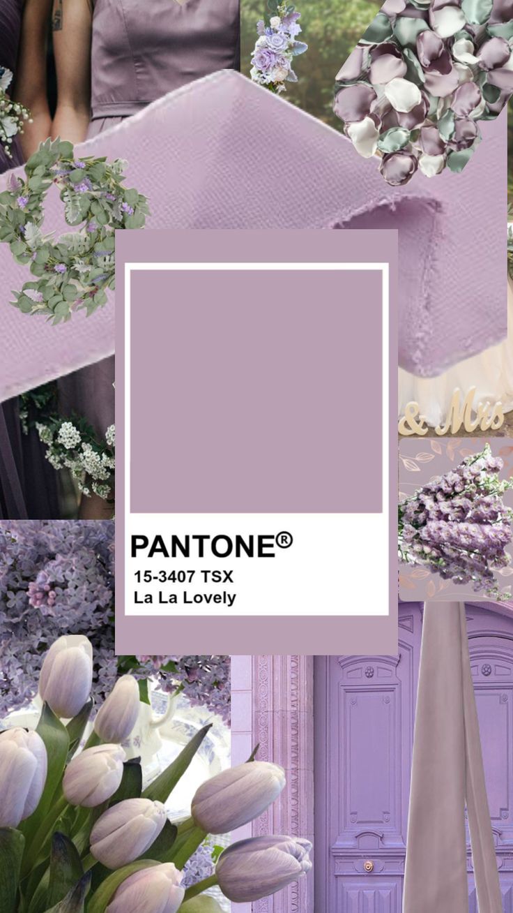 Pantone Color of the Year 2025 Trends and Insights