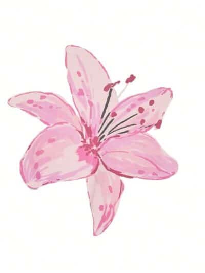 50+ Pink Drawing Ideas for Creative Art Projects (2026)