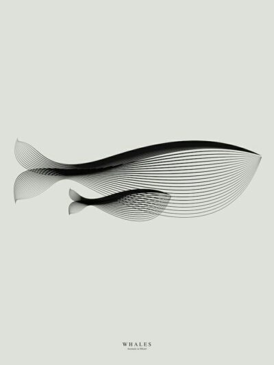 Line Art Inspiration for Modern Minimalist Designs