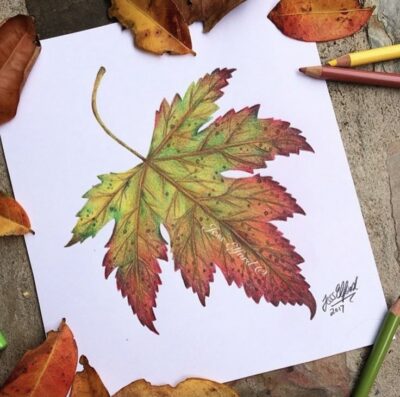 How to Draw Fall Leaves Easily for Beginners