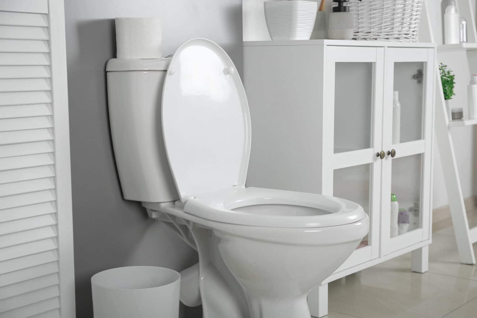 Key Considerations for Selecting a One-Piece Commode