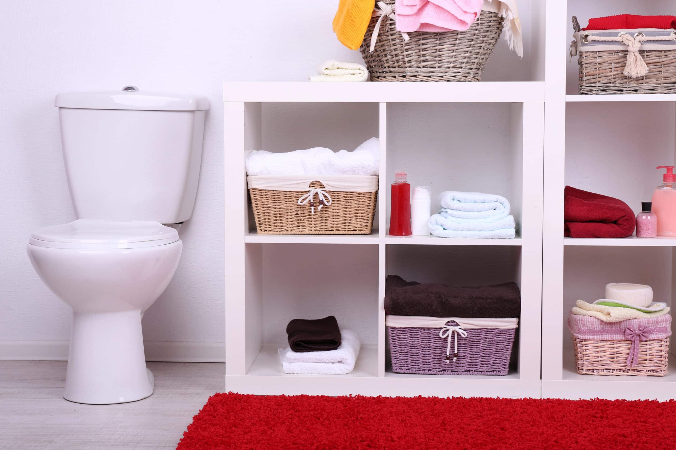 Key Considerations for Selecting a One-Piece Commode