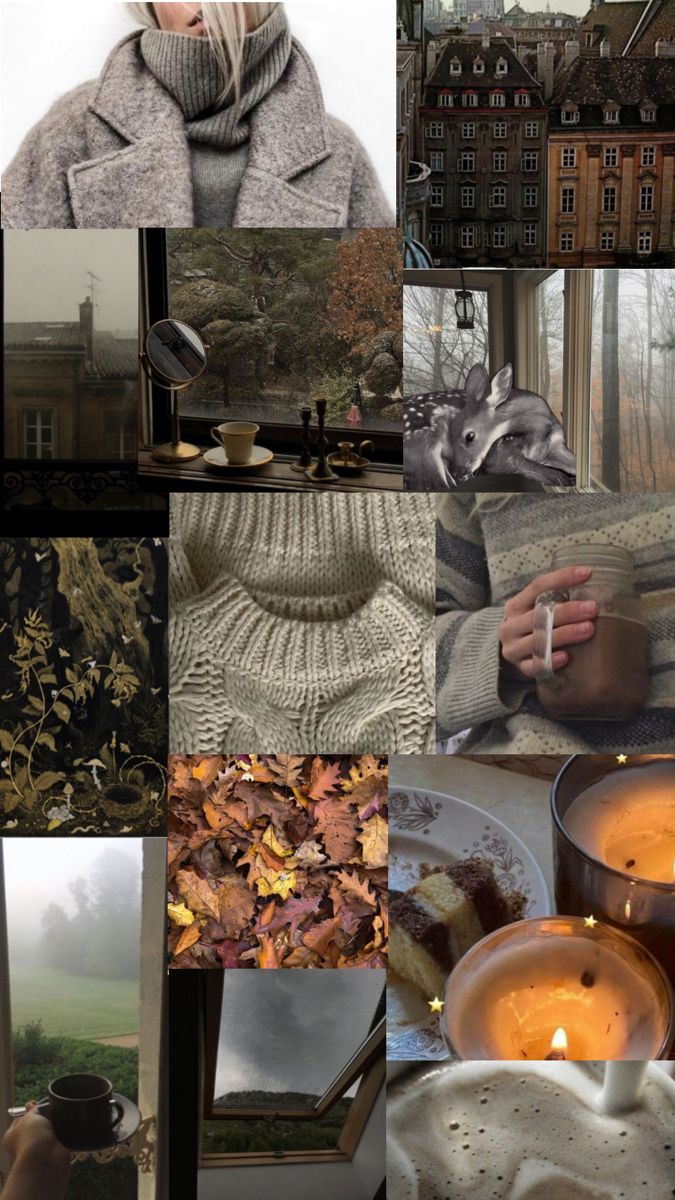 Elevate Your Device’s Look with Stunning Autumn Wallpapers