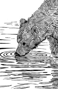 Line Art Drawing: 25 Simple & Beautiful Inspiration Ideas