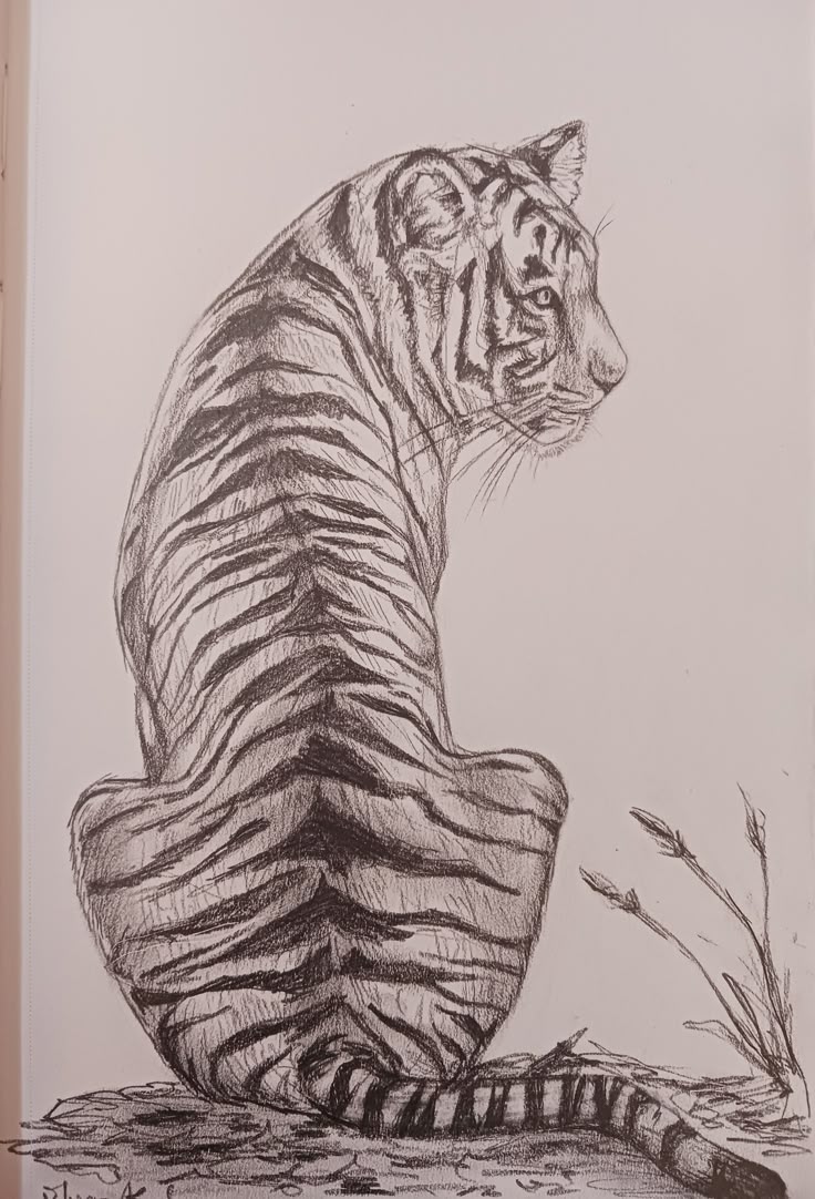 Animal Drawing Ideas for Fun and Creative Sketching Sessions