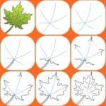 How to Draw Fall Leaves Easily for Beginners