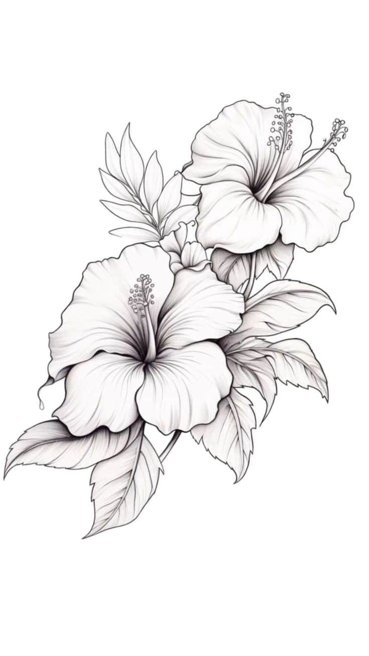 Discover How to Draw Beautiful Hawaiian Hibiscus Flowers