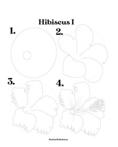 Discover How to Draw Beautiful Hawaiian Hibiscus Flowers