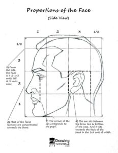 Master Male Facial Anatomy with Quality Portrait Photos