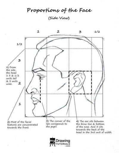 Master Male Facial Anatomy with Quality Portrait Photos
