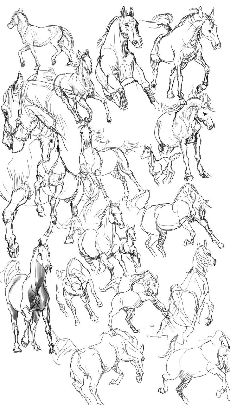 Giddy Up! Learn How to Draw a Galloping Horse with Ease | Sky Rye Design
