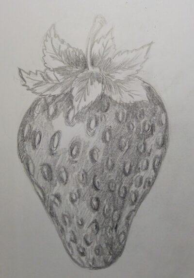 How to Draw Fruits: A Casual Guide for Beginners