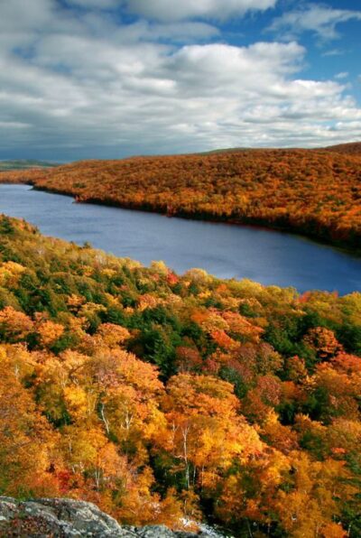 See The Best Fall Colors: Your Guide to Autumn Leaves