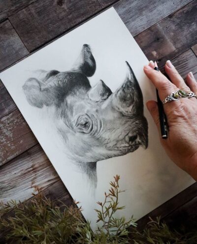 Unlock Your Animal Drawing Potential with Expert Tips