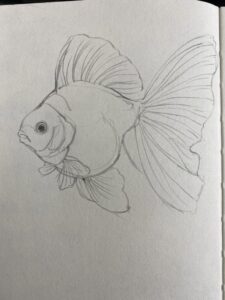 Fish Drawing Ideas: That Bring the Ocean to Life | Sky Rye