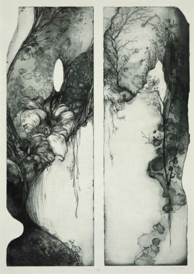 Mastering Black and White Abstract Drawings