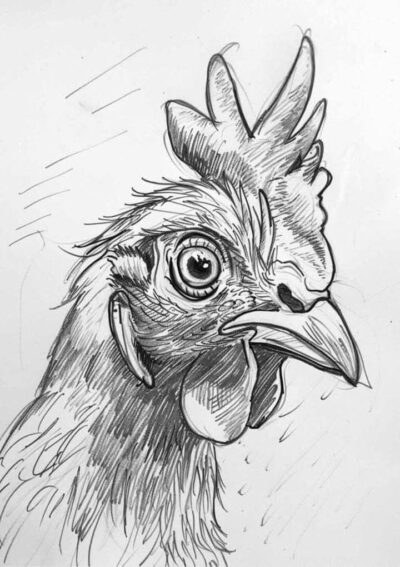 Chicken Drawing: 7 Pro Techniques to Master Avian Art