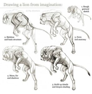How to Draw Realistic Animals Step by Step Without Mistakes