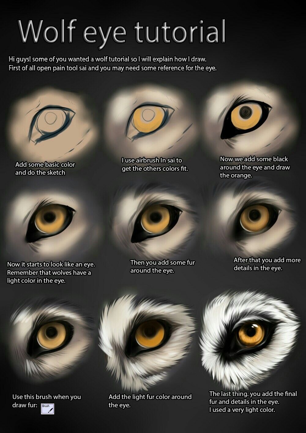 How to Draw Realistic Animals Step by Step Without Mistakes