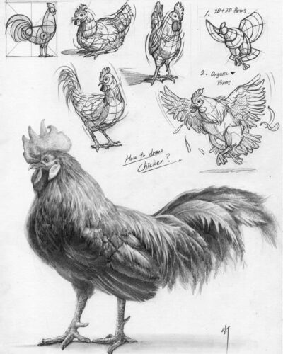 Chicken Drawing: 7 Pro Techniques to Master Avian Art