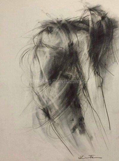 Discover Your Artistry: Charcoal Human Figure Sketches