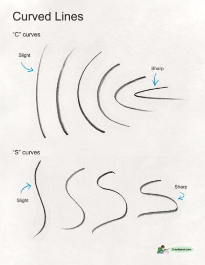 Beginner Drawing Exercises: 10 Simple Drills That Work