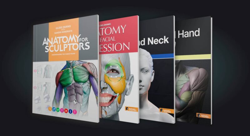 7 Best Drawing Books for Adults to Unlock Creative Potential