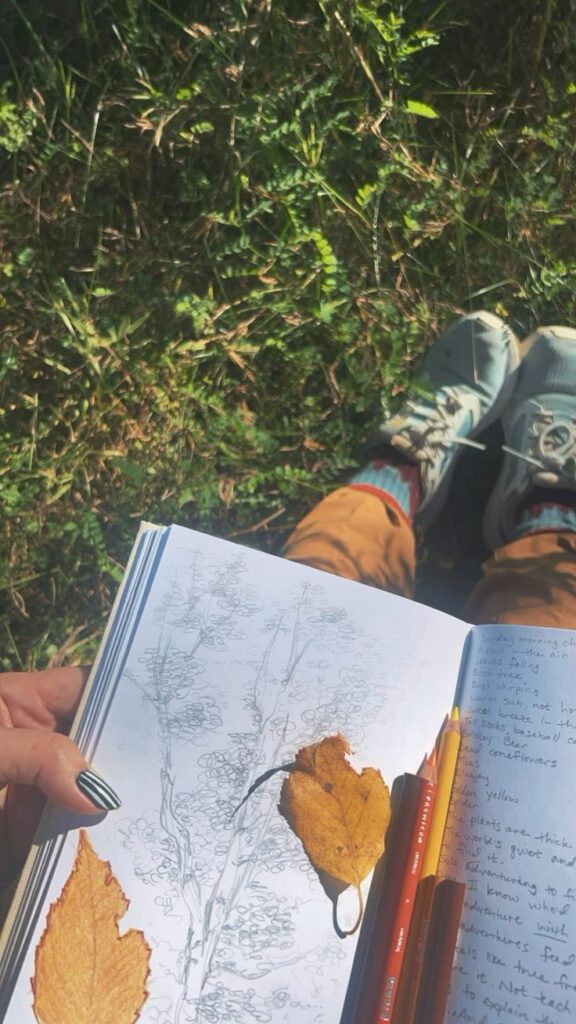 How to Draw a Nature Drawing: Complete Step-by-Step Guide