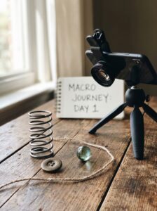 Amazing Macro Photography Ideas You Can Try Today