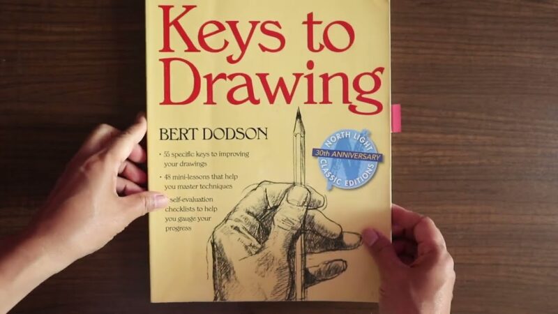 7 Best Drawing Books for Adults to Unlock Creative Potential