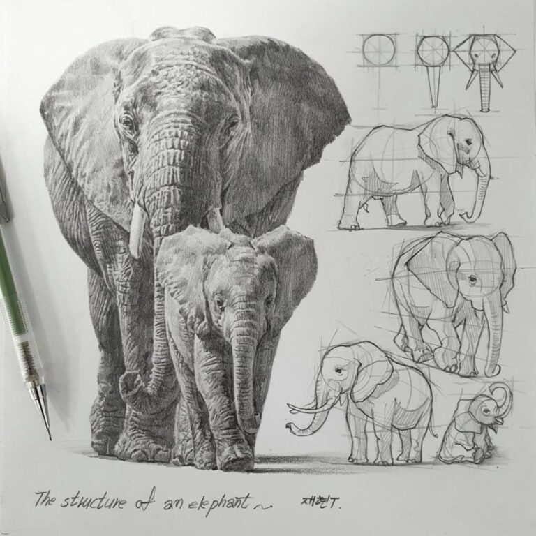 How to Draw an Elephant That Actually Looks Real (2026)