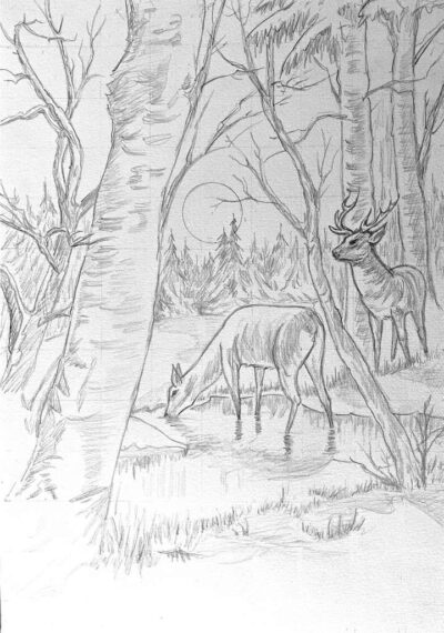 How to Draw a Forest: 7-Step Beginner Guide (2026)