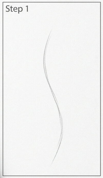 Base Drawing: Complete Beginner's Guide to Building Any Art