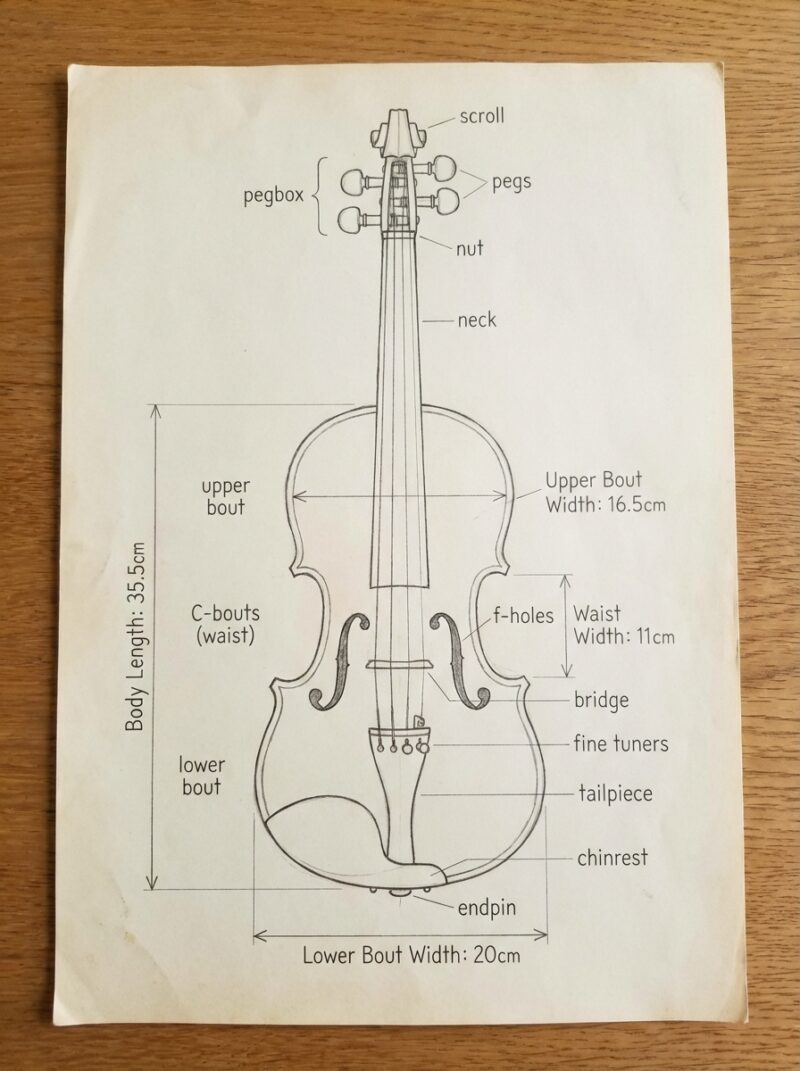 How to Draw a Violin: Proportions, F-Holes and Wood Grain